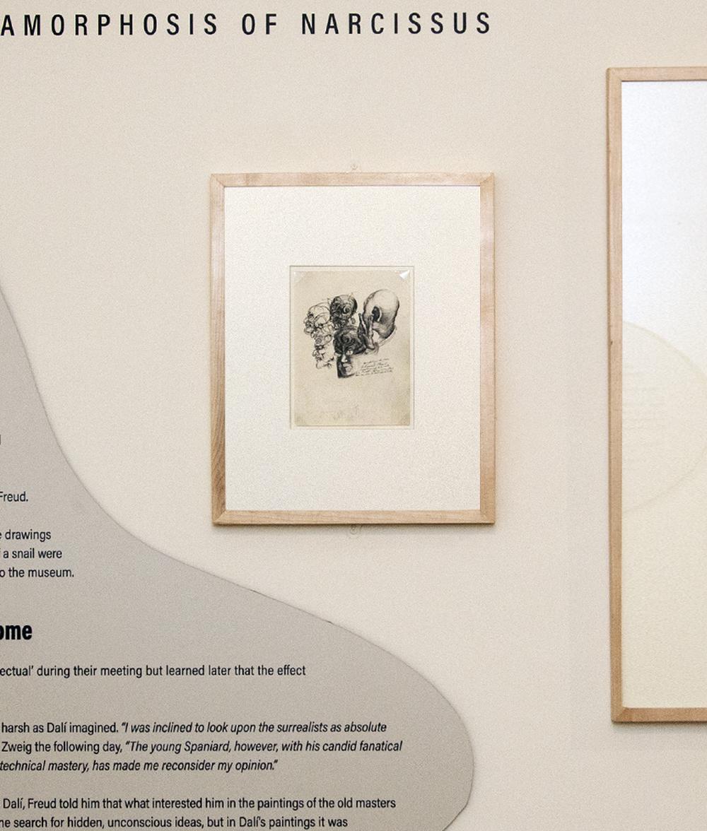 Freud, Dalí and the Metamorphosis of Narcissus | Freud Museum